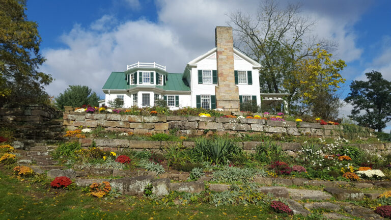 TLC Tours | Proudly Serving Our Customers With Tender Loving Care