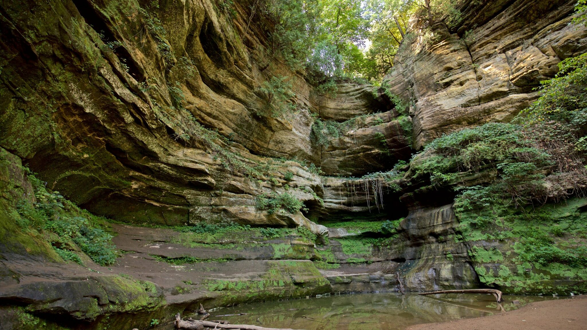 Starved Rock Beauty - TLC Tours